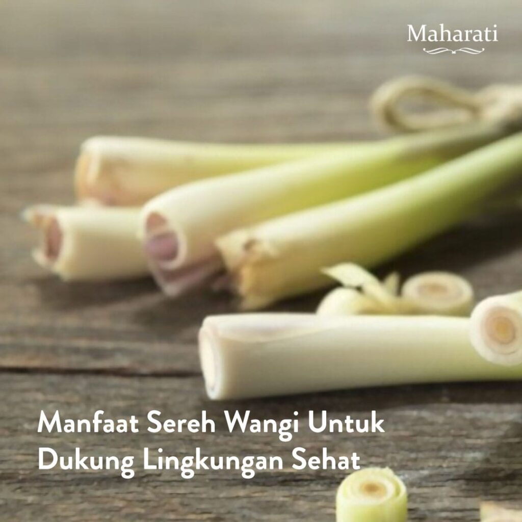 Kenali Manfaat Tanaman Serai - Maharati